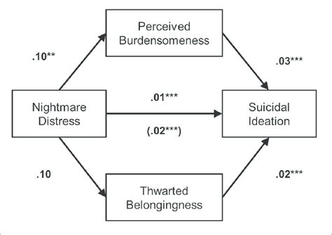 Unstandardized Path Coefficients Are Presented With Standard Errors