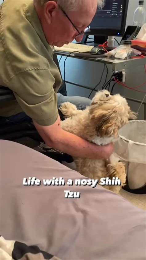 The Sight Of Mom Makes My Tail Wag Mike Facebook