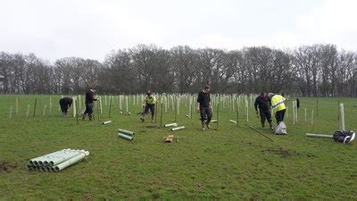 Trees For Flood Resilience