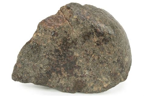 26 Chondrite Meteorite 76 G Western Sahara Desert 232951 For