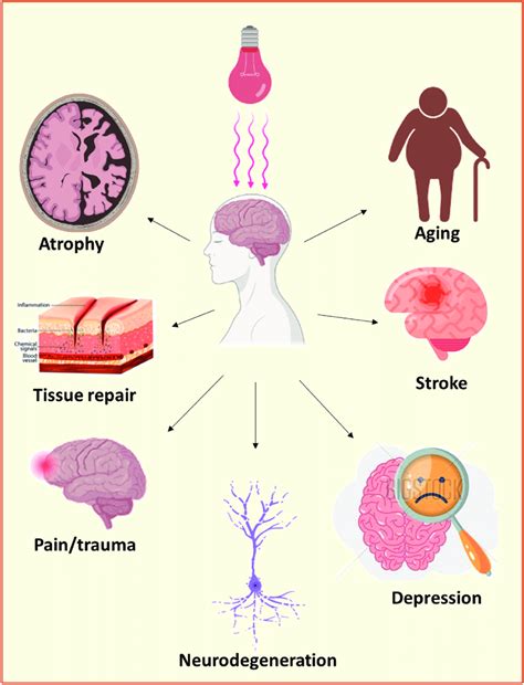 How Does Red Light Affect The Brain Infrared For Health