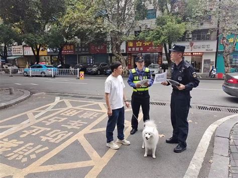枝江开展文明养犬专项整治行动 三峡枝江网