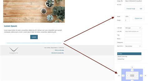 How Can I Change The Width And Color Of My Divider EXPERTISE