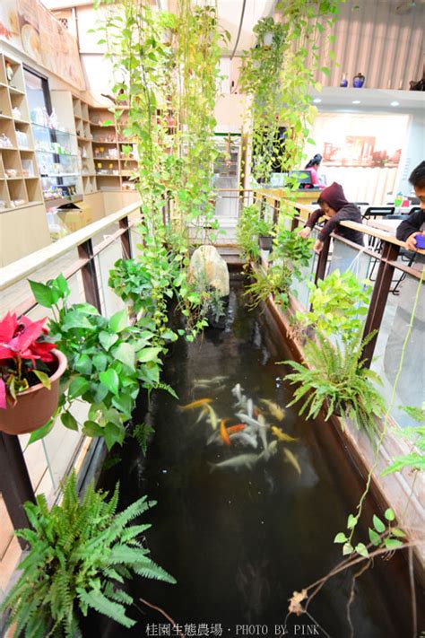 【彰化景點】埔鹽．桂園自然生態農場 彩色雞蛋驚豔登場~