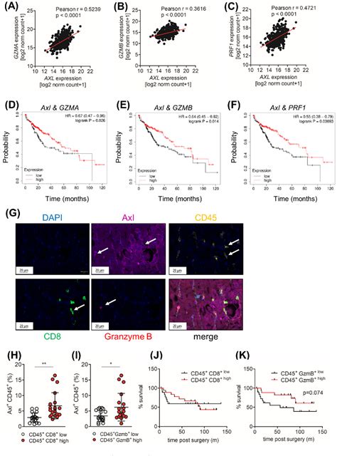 Figure 6 From Tumor Extrinsic Axl Expression Shapes An Inflammatory