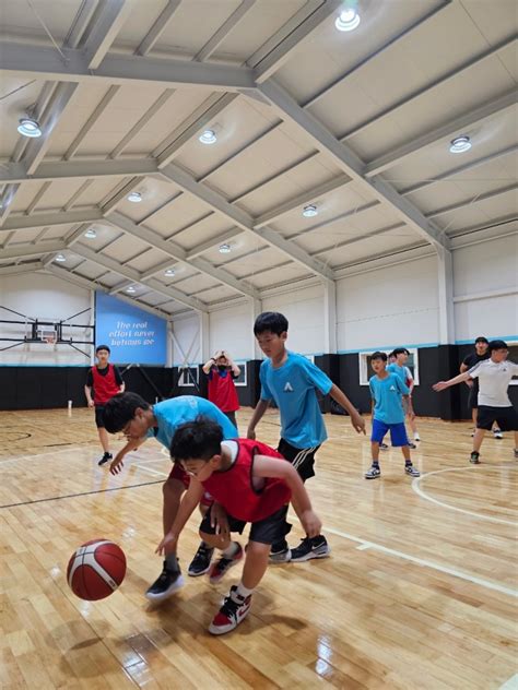 일산농구교실 화정농구교실 더올바스켓볼 초등중등부 추가모집 네이버 블로그
