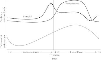 Sex Hormones And The QT Interval A Review PMC