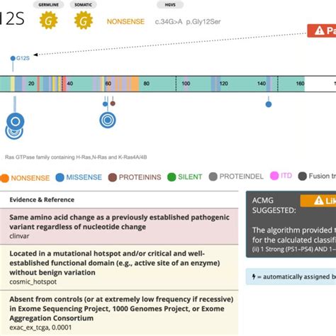 Expression And Distribution Of E Cadherin In A Panel Of 7 Breast Cancer