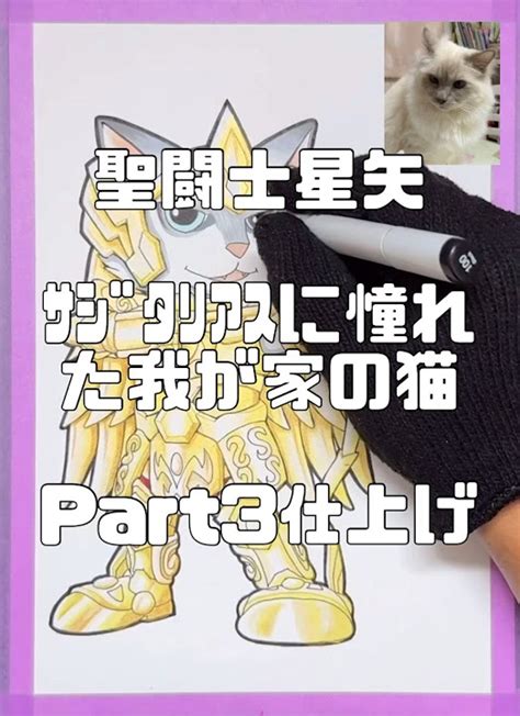 Part3聖闘士星矢ｻｼﾞﾀﾘｱｽに憧れた我が家の猫仕上げ オリジナル Drawing Art Illustration
