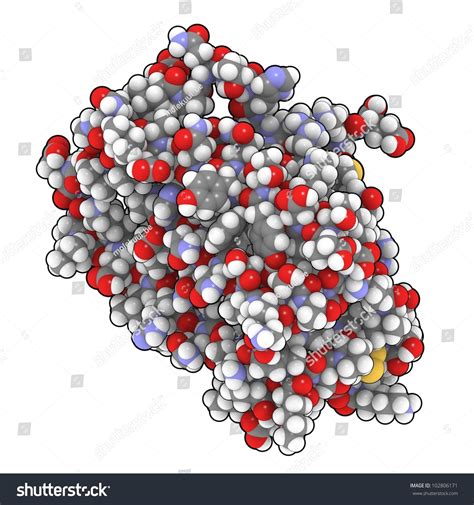 Interferon Alfaa2 Molecule Chemical Structure Pegylated Stock Illustration 102806171 Shutterstock