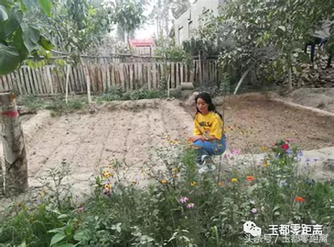 「苦幹實幹60天大會戰」我眼中的家鄉 每日頭條