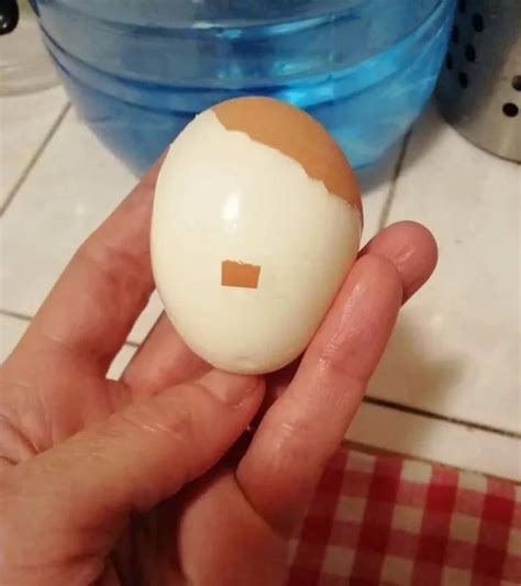 Felix Egg Edition R Foundfelix