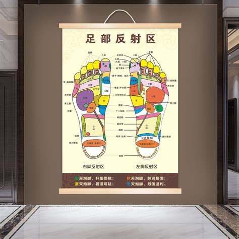 足疗反射足底睾丸反射区 伤感说说吧