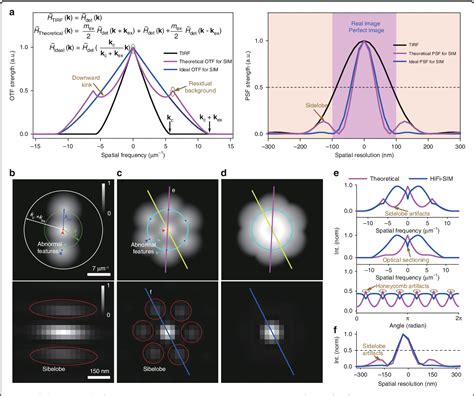 Figure 1 From High ﬁ Delity Structured Illumination Microscopy By Point Spread Function