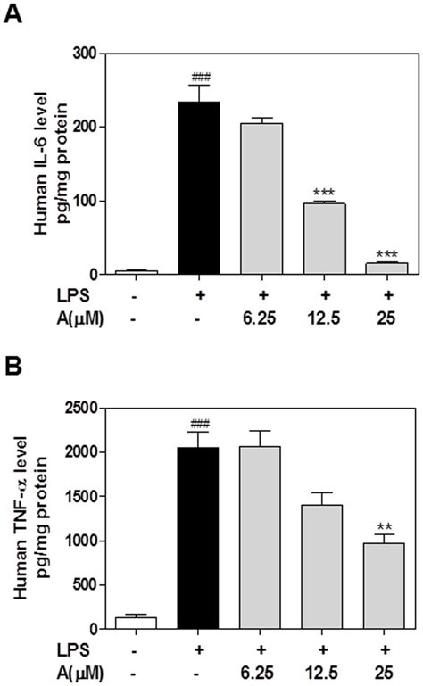 Effect Of Apigenin On LPS Induced IL 6 And TNF A Protein Expression In