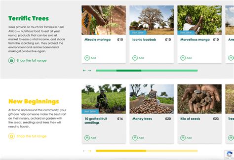 10 Best Tree Planting Organizations And Charities In 2022 Nonprofit Point