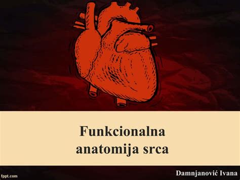 Funkcionalna Anatomija Srca Ppt