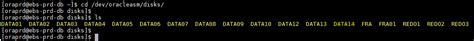 Davis Apps Dba Adding Asm Disk To Existing Diskgroup