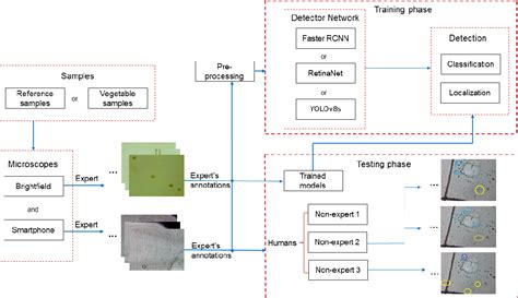 Deep Learning Assisted Detection And Quantification Of Oocysts Of Giardia And Cryptosporidium