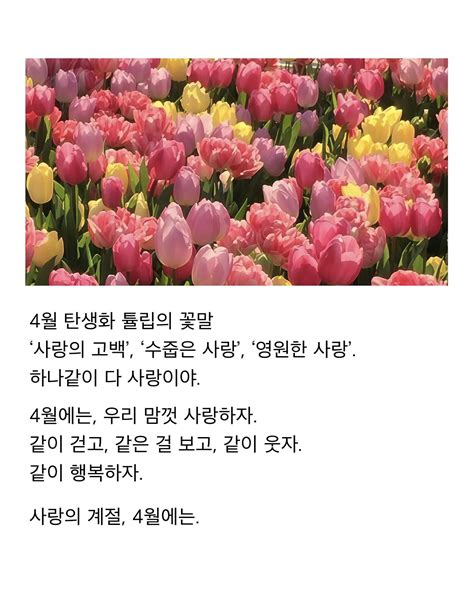 김현서 너라는 사람에 무슨 이유가 필요할까 낭만이 따로 있을 거며 사랑에 설명이 붙으면 그게 사랑일까 네 이름 세 글자 그게 이유라면 이유겠다 닮은 구석이 많아