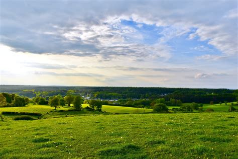 Gpp Npp And Nep How We Measure Ecosystem Productivity — Six Foot Science