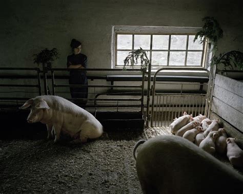 Carl De Keyzer “zona” 2001 R Rspod