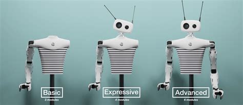 Raspberry Pi 4 Powered Open Source Hardware Robot Paves The Way For