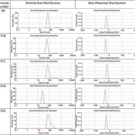 Particle Size Distribution And Zeta Potential Distribution Analysis