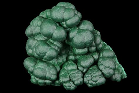 1 7 Botryoidal Malachite Crystal Formation Congo 67461 For Sale