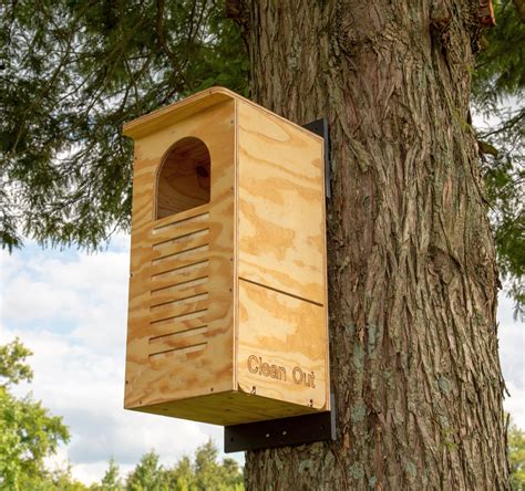 Barred Owl Nesting Box Kit Unassembled