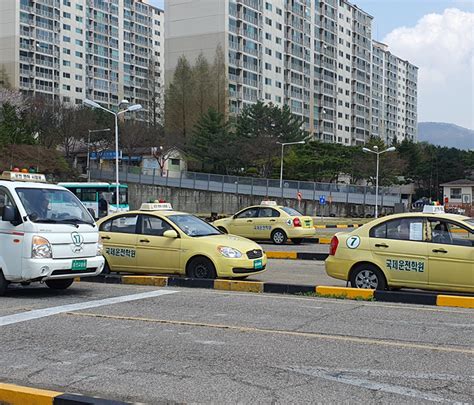 국제자동차운전전문학원