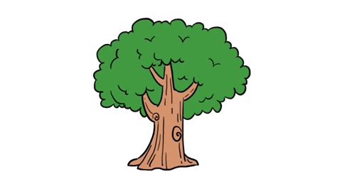 树简笔画 天奇教育