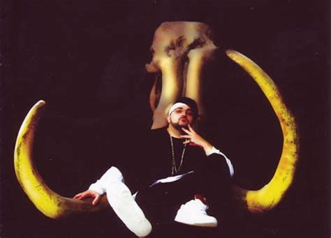 Eslam Jawaad Tunefind