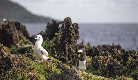 Christmas Island