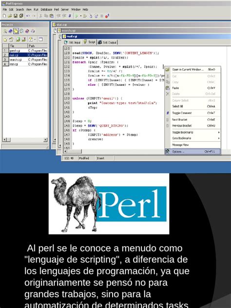 Perl Lenguaje De Programacion Pdf Perl Lenguaje De Programación