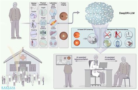 科研绘图sci画图作图学术杂志封面设计toc示意图文章配图医学动画