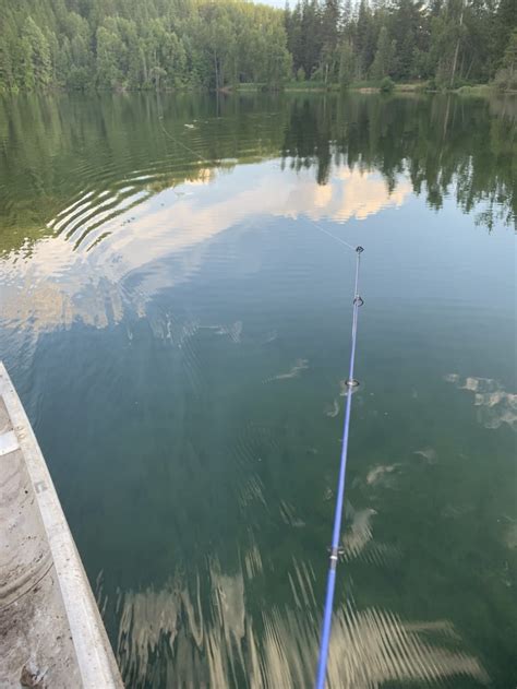 Rosebud Campground Hipcamp In Salmo British Columbia