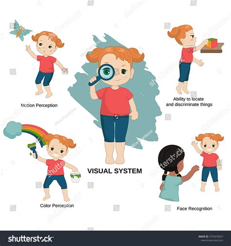 Vector Illustration Human Senses Visual Sensory Stock Vector Royalty