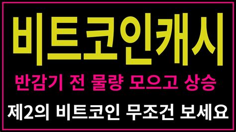 비트코인캐시 반감기 전 물량 모으고 상승 제2의 비트코인 무조건 보세요 Youtube