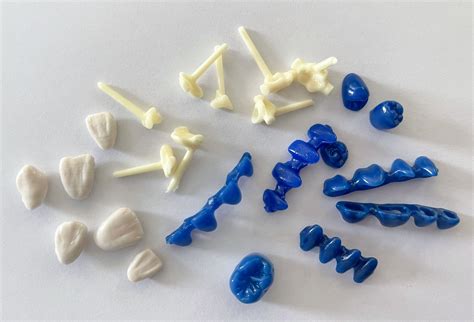 Intaglio Surface Dental