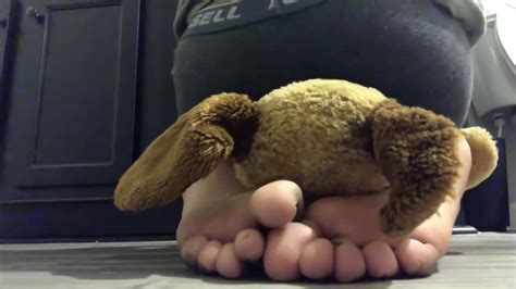 Teddy Bear Gets His Face Full