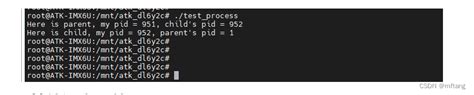Linux进程api接口功能介绍和使用方法linux怎么调用api Csdn博客