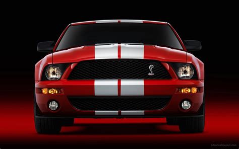 Shelby Cobra Gt500 Mustang 6 Wallpaper Hd Car Wallpapers 668