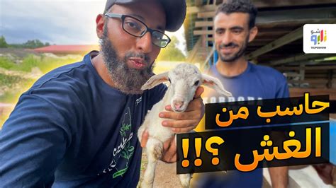 كيف تختار الذبيحة لعيد الأضحى بدون ما حد يغشك ؟ Youtube