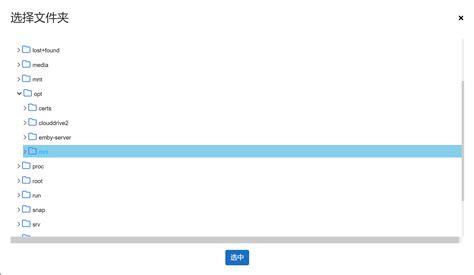 Esxi 直通核显开启硬解，emby 配合 Clouddrive2 挂载云盘打造家用的流媒体