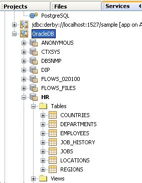Programación y bases de datos Conectar java utilizando netbeans IDE a Oracle g