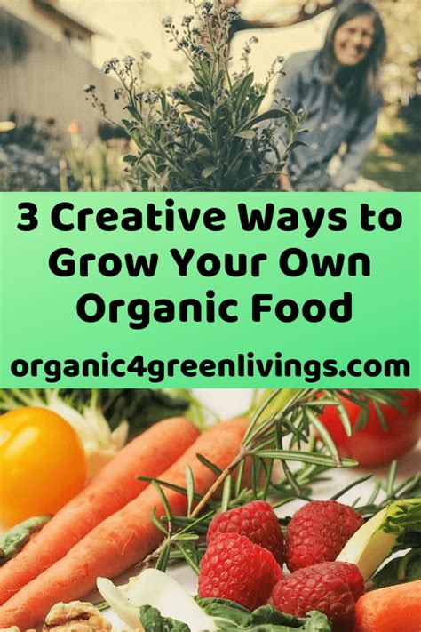 3 Creative Ways To Grow Your Own Organic Food