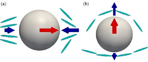 Sketch Of The Splay And Bend Deformation When The Colloidal Particle Is