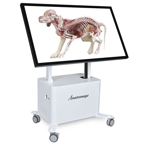 Anatomage Table Occ Adds New 3 D Technology The Oakland Press