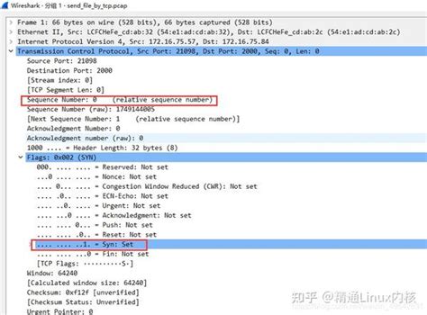 Linux网络实验四——tcpudp协议分析 知乎